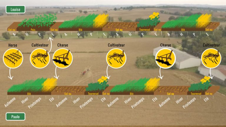 Illustration AgroSYS - ScomScience